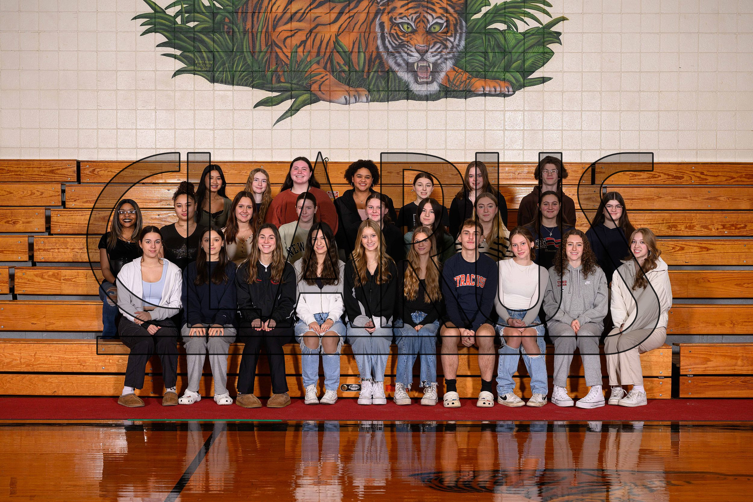 Clarus Multimedia Group captures your businesses advertising, marketing ...